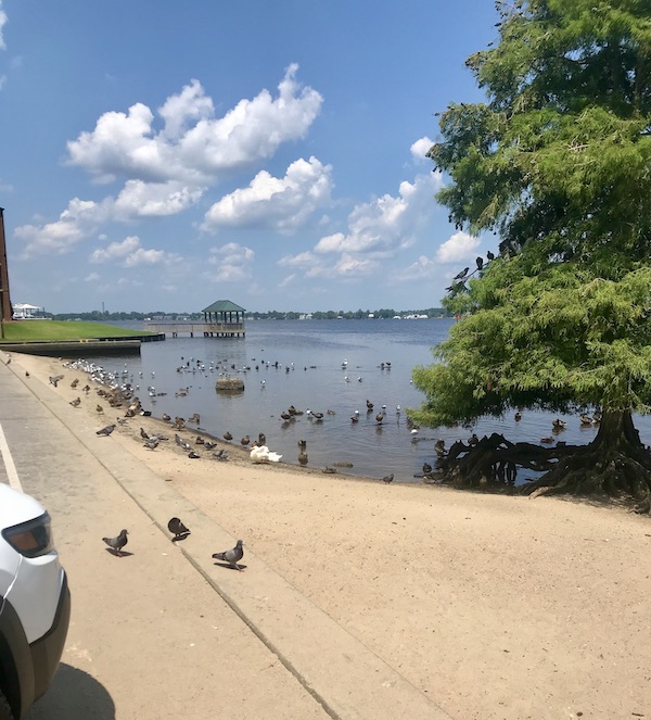 New Bern NC - The Traveling Locavores