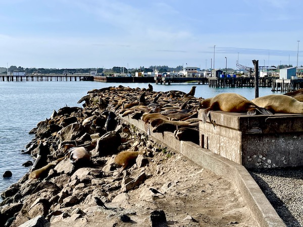 Crescent City California - The Traveling Locavores