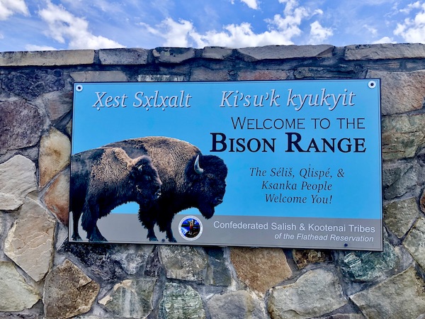 National Bison Range Montana - The Traveling Locavores