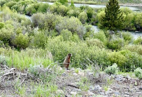 Visiting Ashton Idaho - The Traveling Locavores